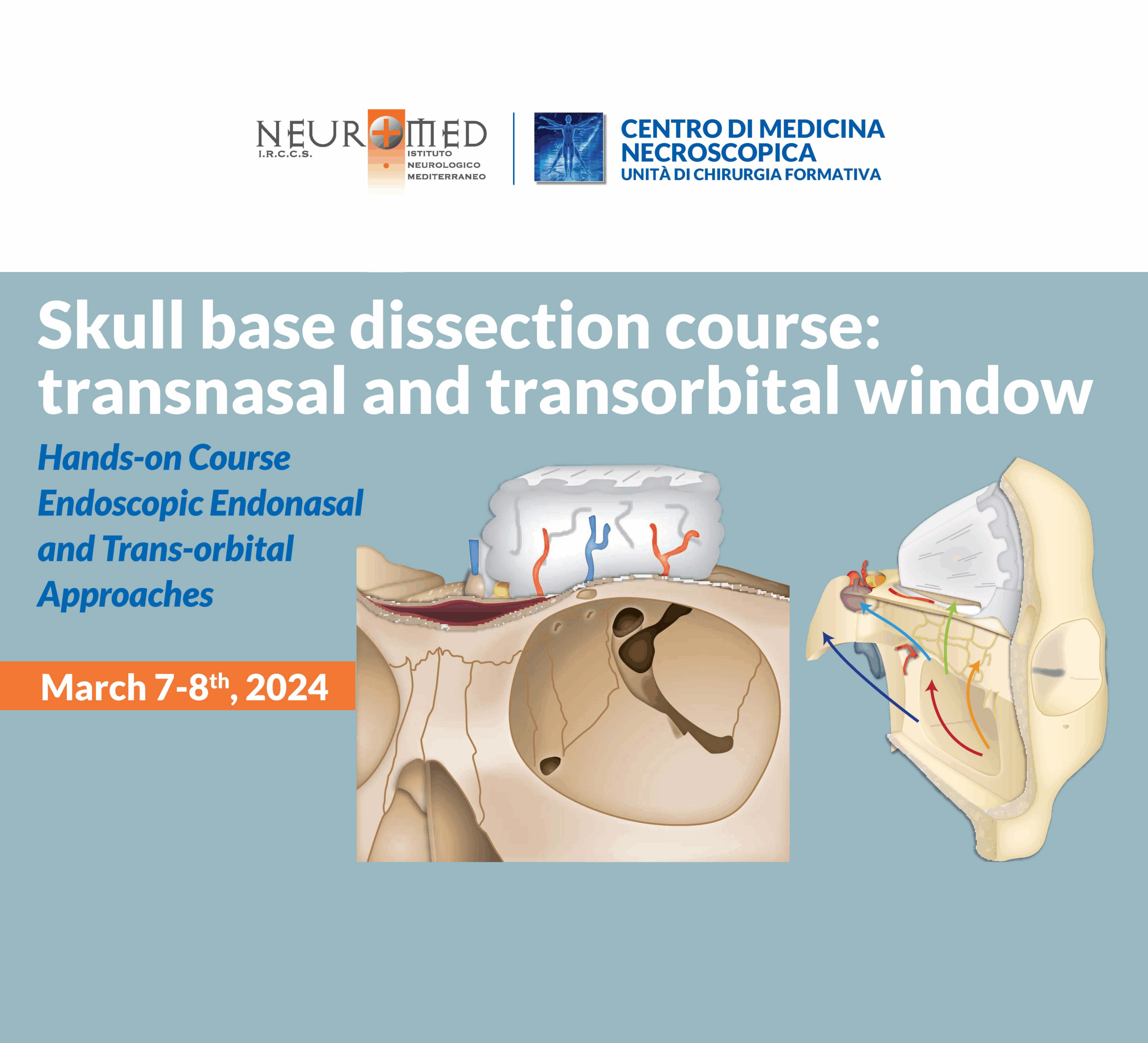 Skull base dissection course: transnasal and transorbital window ...